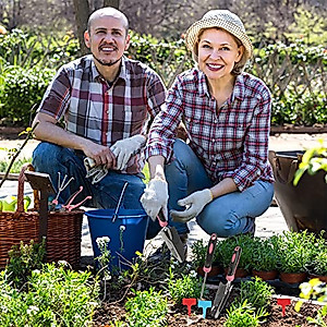 Whonline Pink Garden Tool Set for Women, 31Pcs Succulent Gardening Tool Kit, Heavy Duty Stainless Steel Aluminum Non-Slip Ergonomic Handle Tools Durable Storage Tote Bag Gardening Gifts