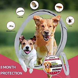 Flea and Tick Collar for Dogs, Flea and Tick Prevention for Dog, 27 Inch, 8 Month Protection, 1 Pack