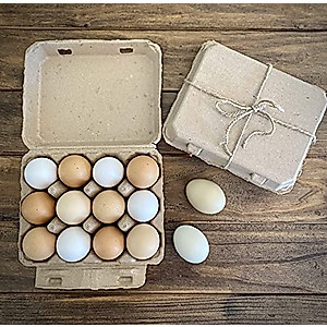 Vintage Blank Egg Cartons- Classic 3x4 Style Holds 12 Large Eggs, Sturdy Design Made from Recycled Cardboard (25)