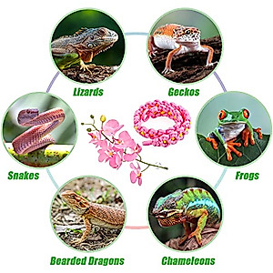 Reptile Plants, Amphibian Hanging Plants, Reptile Terrarium Plants Gecko Tank Accessories with Suction Cups Plants Terrarium Decor for Hermit Crab Lizards Geckos Snake Reptile, Pink (AMFB005)
