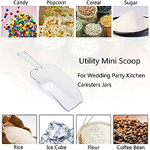 8 Inch Multi Purpose Clear Plastic Scoops for Weddings, Candy Dessert Buffet, Ice Cream, Coffee, Tea, 6 Pcs