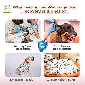 LovinPet Dog Recovery Suit - Dog Bodysuit for Abdominal Wound After Surgery Anti Licking Abdominal Wound Surgical Clothes Post-Operative Vest E-Collar Alternative Recovery Shirt,Crab,Red,XL