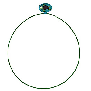 Water Sports Swim Thru Rings, Swimming Pool Toys for Summer Activities and Outdoor Games, Assorted Pack