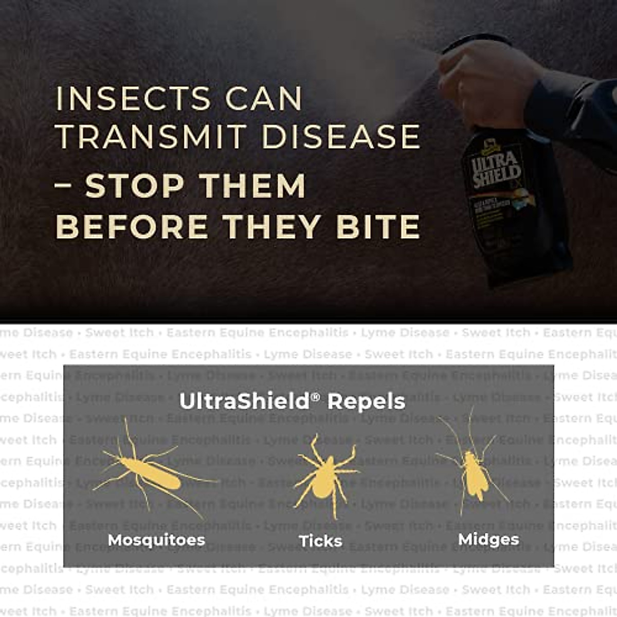 Absorbine UltraShield EX Insecticide Spray for Horses & Dogs, Kills & Repels Fly Tick Mosquito Flea Lice, Lasts Up to 17 Days, 128oz Gallon Refill