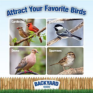 Backyard Seeds Classic Berry Blend Sunflower Bird Seed Mix in Bucket 15 Pounds