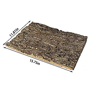 Cork Terrarium Background Natural Cork Bark Backdrop Reptile Climbing Mat Habitat Decor for Spider Lizard Chamelon Turtle Beared Dragon(2 PCS)