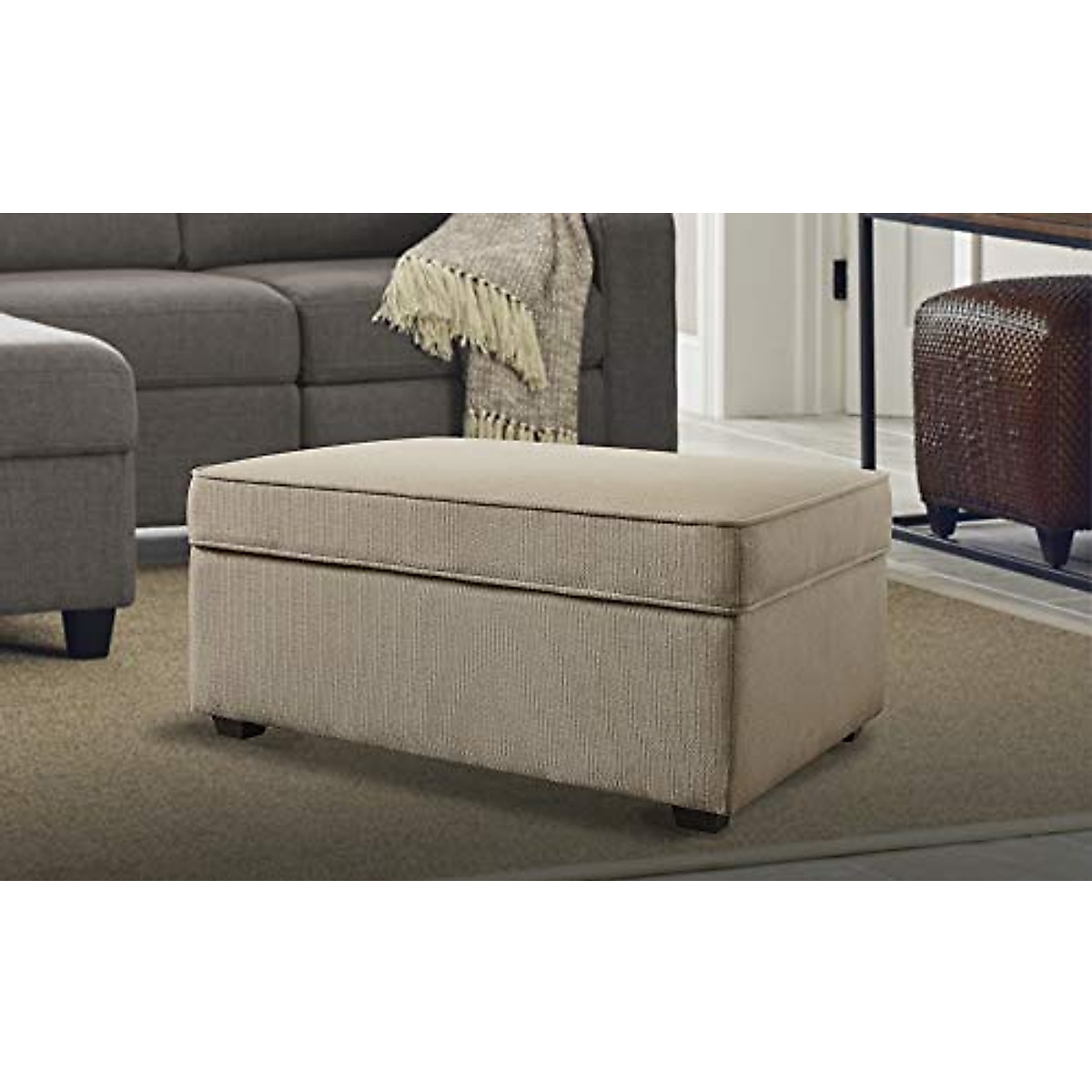 Serta Olin Storage Ottoman with Lid, Contemporary Design, Hinged Lid, Can Be Used as Footrest or Extra Seat, Easy Assembly, Beige