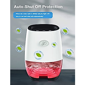 Dehumidifiers:Portable Dehumidifier for Home, Bedroom, Bathroom 35OZ Small Dehumidifiers Mini dehumidifier with Auto Shut-off, 7 Colors Night Lights, Ultra Quiet for Closet RV Office