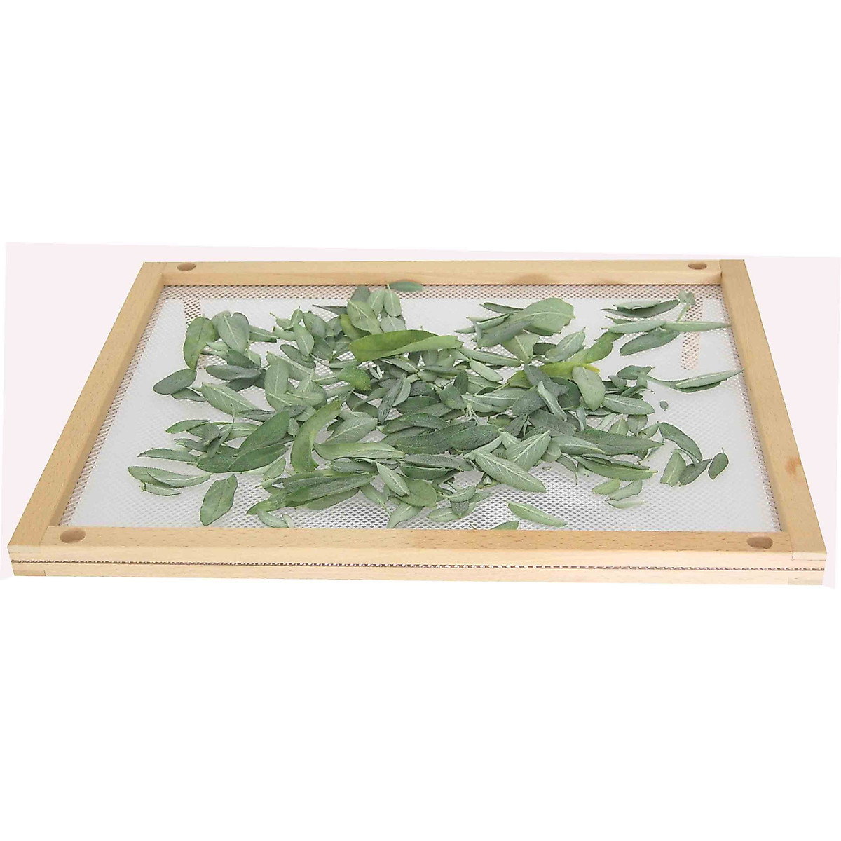 Eppicotispai Beechwood Stackable Food Dryer with Net