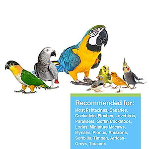 Hagen Prime Parrot Vitamin, Mineral and Amino Acid Supplement for Seed Eating Birds, 1.1 oz