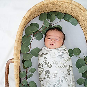 Village Baby - Graceful Greenery Swaddle Blanket - Baby Boy/Girl - Soft Newborn Receiving Blanket - Green Stretchy Wrap for Swaddling Infants Leaf Nursery Blanket - 46” x 46”