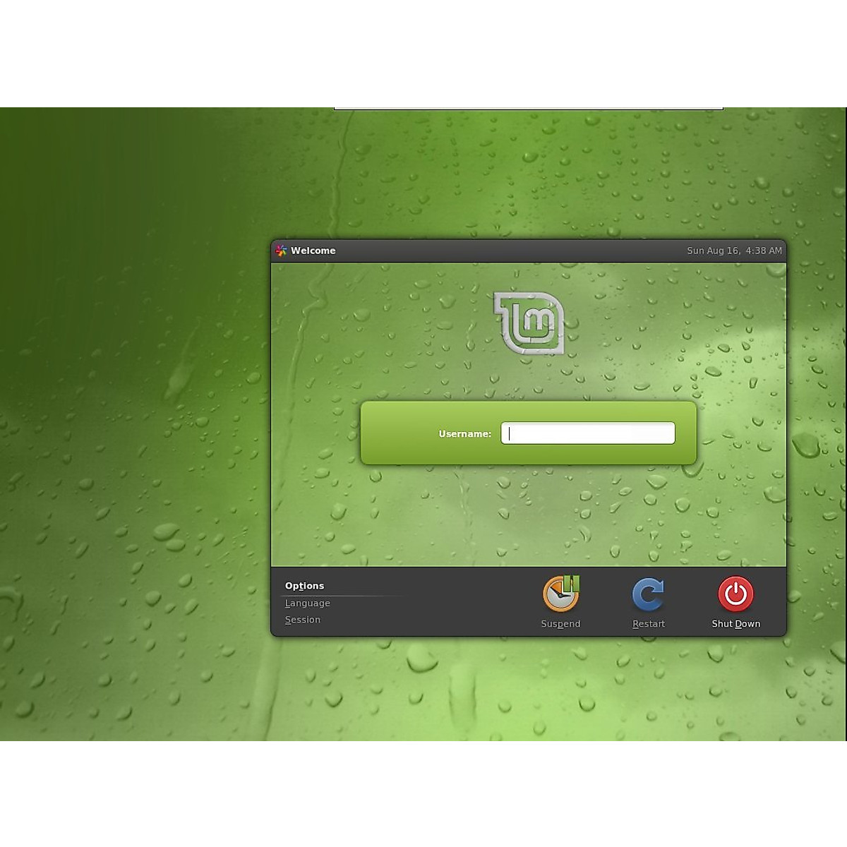 Linux Mint 16 on a Bootable 8GB USB Flash Drive - 32-bit and 64-bit.