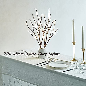 Birchlitland Lighted Brown Branches 18IN 70L Warm White Fairy Lights, LED Willow Branch Lights with Timer Battery Operated for Home Bedroom Living Room Vase Decoration