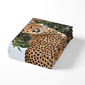 Safari Wildlife Duvet Cover Set Queen,Cheetah California King Animal Comforter Cover,Field Wild Wood Teen Boys Decorative 3 Piece Bedding Set with 2 Pillow Shams,Tan Black Lightweight Microfiber