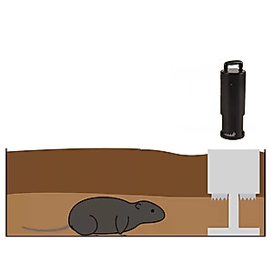 Gopher Mole Vale (1)