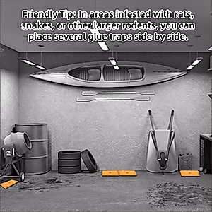 10 Pack Sticky Mouse Trap Rat Traps Indoor, Mouse Traps Indoor for Home, Glue Traps for Mice and Rats, Snake(Large Size)