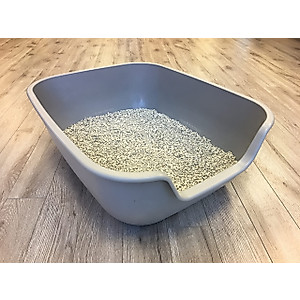 PetFusion BetterBox Non-Stick Large Litter Box. Pet Safe Non-Stick Coating for Easier Cleaning & Superior Hygiene. Open Top Box Promotes Healthy Usage. Litter Pans Made of Stronger ABS Plastic, Grey