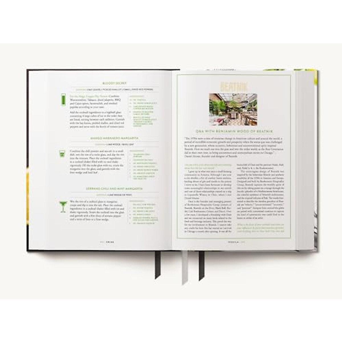 Drink: Featuring Over 1,100 Cocktail, Wine, and Spirits Recipes (A Tour Around the World of Spirits and Cocktails) (Ultimate Cookbooks)