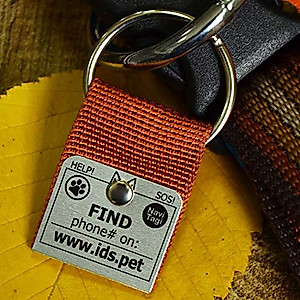 NaviTagi Pet ID Tag for Large and Extra Large Dogs. Personalized w/ID Number. Reliable Design, Stainless Steel Ring. 2 Phones Updatable Online, Name Safe (1 Tag - L)