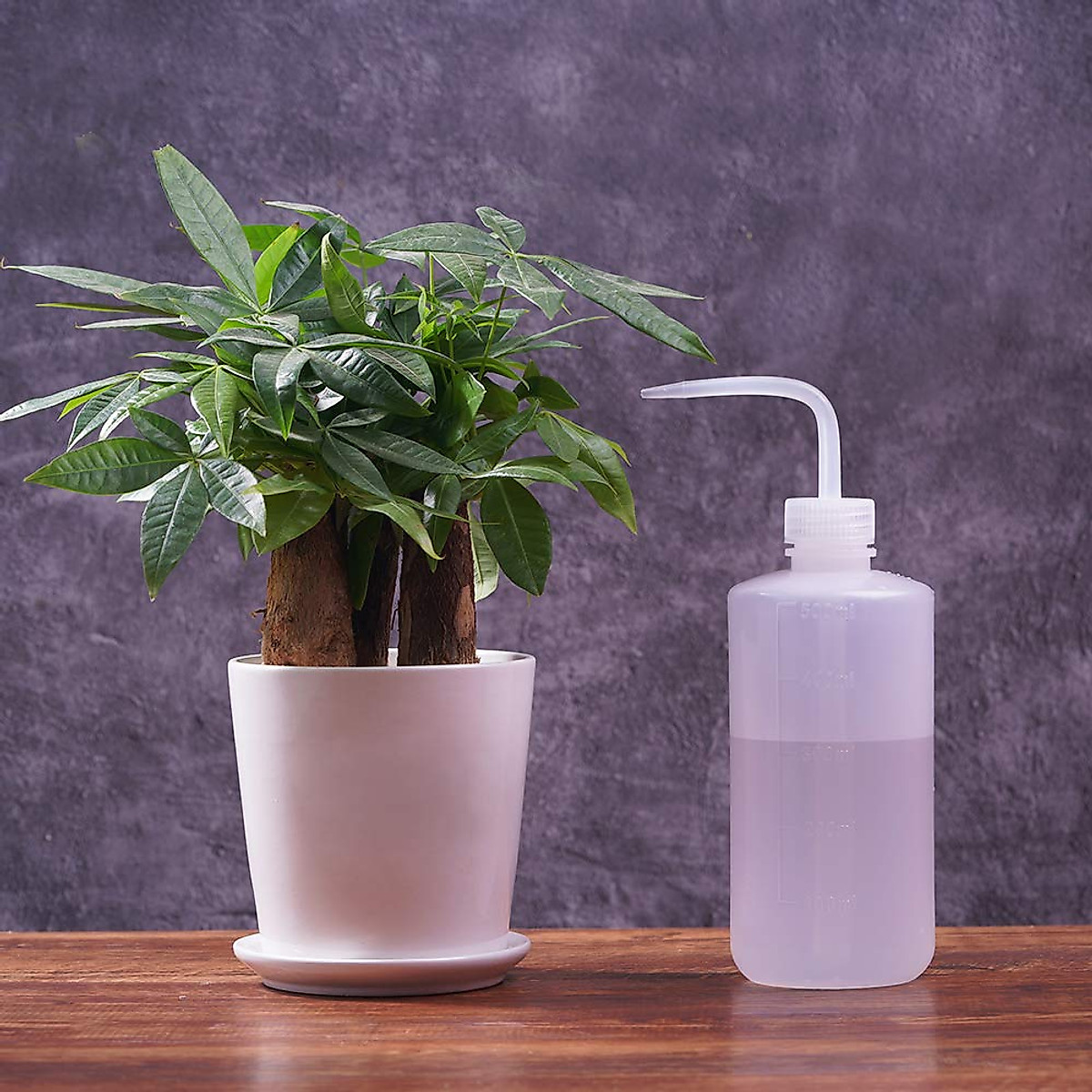 CVNDKN Wash Bottles,3pcs 500ml Plastic Safety lab Wash Bottle,Squeeze Bottle with Scale -16 oz