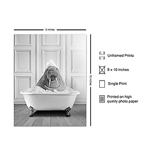 Coastal Bathroom Wall Art & Decor - Bathtub Wall Art - Sea Animal Beach Bathroom Decor - Bathroom Pictures - Funny Bathroom Decor - Bath Wall Decor - Restroom Sign - Cute Unique Guest Bathroom Poster