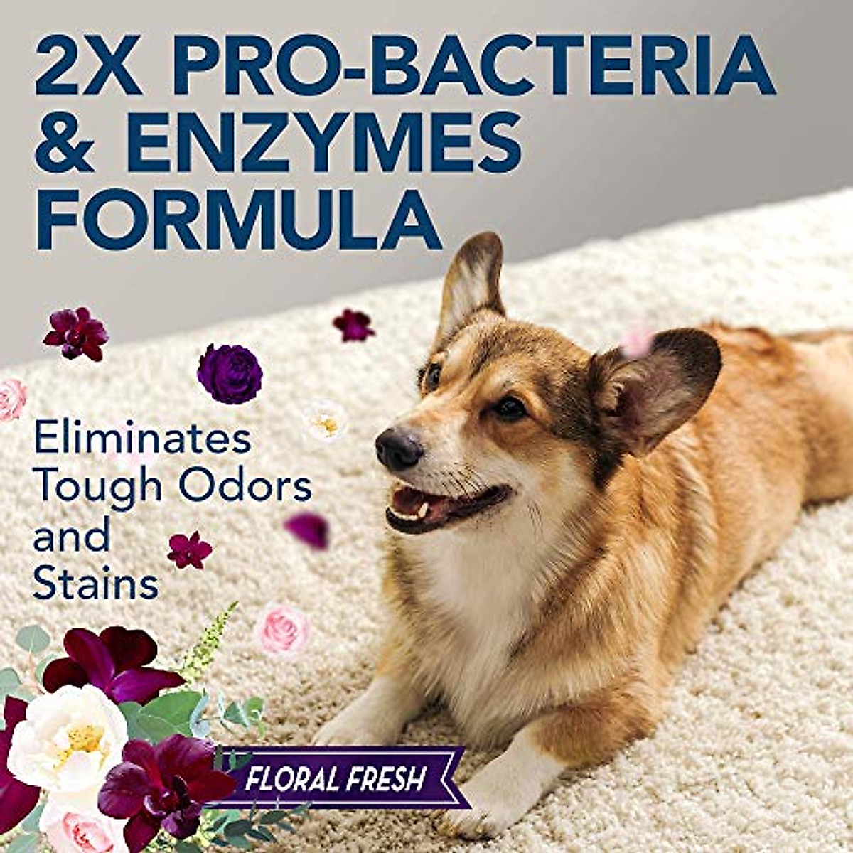 Simple Solution Pet Stain and Odor Remover | Enzymatic Cleaner with 2X Pro-Bacteria Cleaning Power | Floral Fresh, 32 Ounces