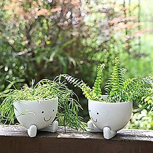 AIMEBBY Face Flower Pot Face Head Planter for Indoor Plants Succulent Planters with Drainage Hole Resin Planter 4 Inches