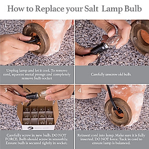 Crystal Allies 12 Pack of 25W Watt Himalayan Salt Lamp Bulb Replacement