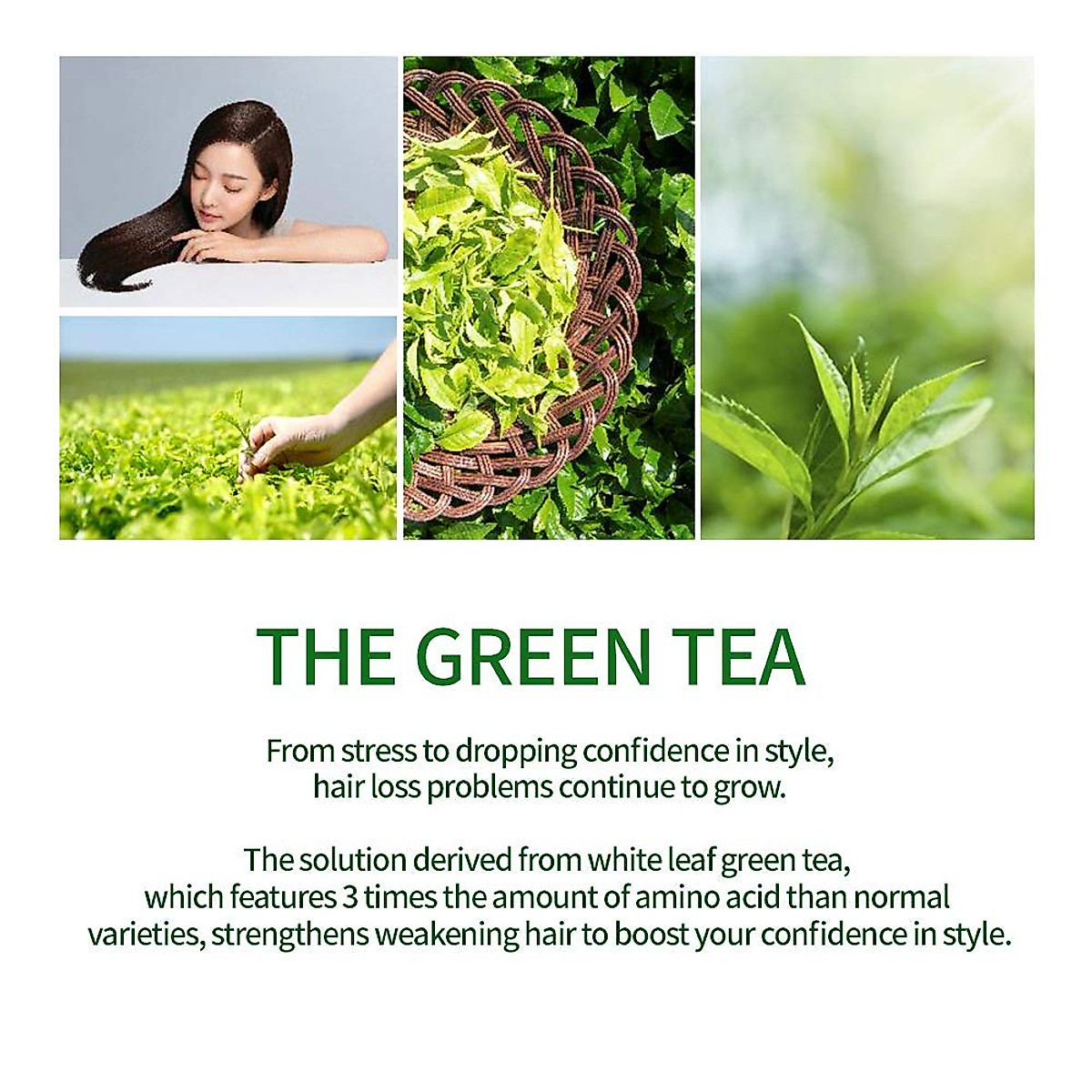 AMOS PROFESSIONAL The Green Tea Shampoo [Moist - For Normal/Dry Scalp] 17.6oz (500g) | Anti-Thinning & Anti- Hair Loss Shampoo for Hair Growth and Moisture | Korean Hair Salon Brand