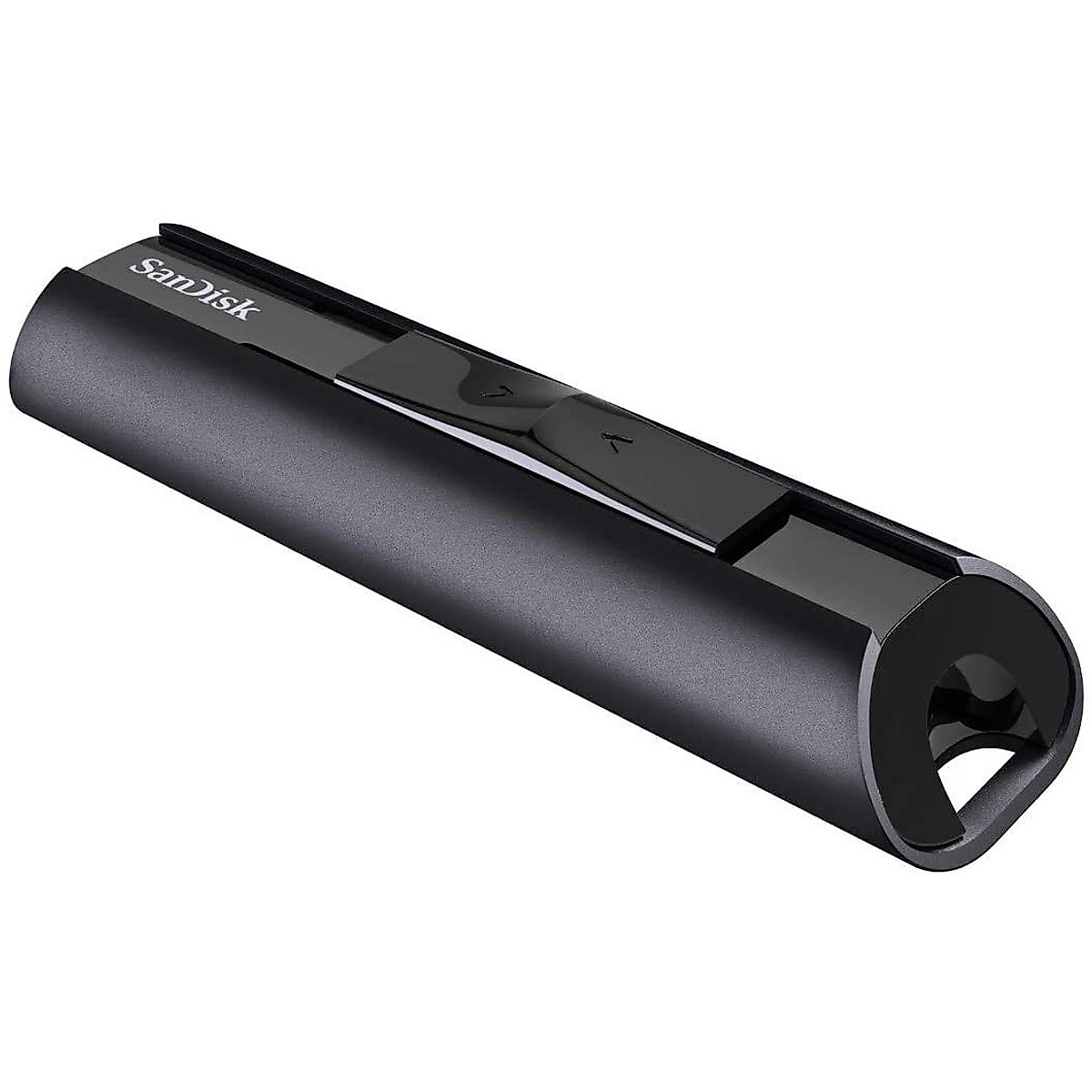 SanDisk Extreme PRO 256GB USB 3.2 Solid State Flash Drive for High Speed Transfer 420MB/s Read Speed - Works with Computers, Laptops (SDCZ880-256G-G46) Bundle with (1) Everything But Stromboli Lanyard