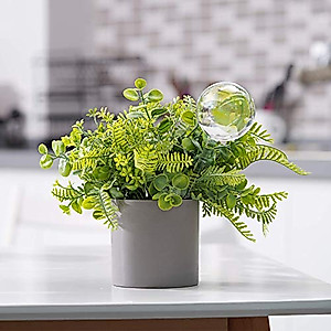 [2 PCS] Light Iridescent Rainbow Gradient Color Clear Glass Self-Watering System Spikes, Aqua Globes Automatic Plant Waterer Bulbs