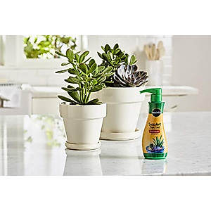 Scotts Succulent Plant Food, 8 oz., For Succulents including Cacti, Jade, And Aloe, 6 Pack