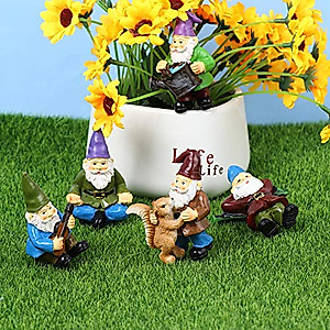 Haomian Set of 5 Miniature Garden Gnomes Mini Gnome Figures Waterproof Resin Ornament Miniature Fairy Garden Ornaments Outdoor Accessories Micro Landscape Decoration