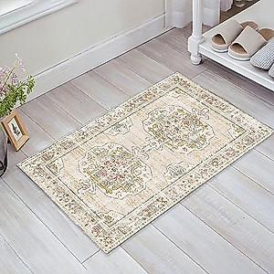 Corismatte Washable Bohemian Doormat, Non-Slip Small Rug for Entrance, Multi/Brown 2’x3’