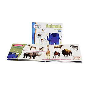 Brainy Baby Animals Board Book Apes to Zebras Deluxe Edition