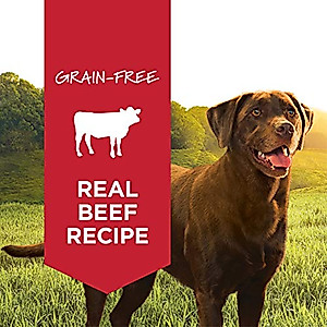 Instinct Original Grain Free Real Beef Recipe Natural Wet Canned Dog Food, 13.2 oz. Cans (Case of 6)