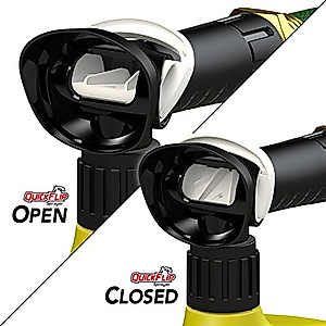 Black Flag Flea and Tick Killer Concentrate Yard Treatment, 32 Ounces, Ready To Spray, Quickflip Hose End Sprayer