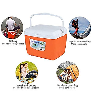 HESNDxbx Mini Fridge 13L Car Insulation Preservation Box Car Cooler Box Ice Organizer Medicine Preservation Home Barbecue Fishing Multifunctional