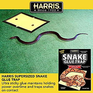 Harris Snake Glue Trap, Super Sized for Snakes, Rats, Mice and Insects (2-Pack)