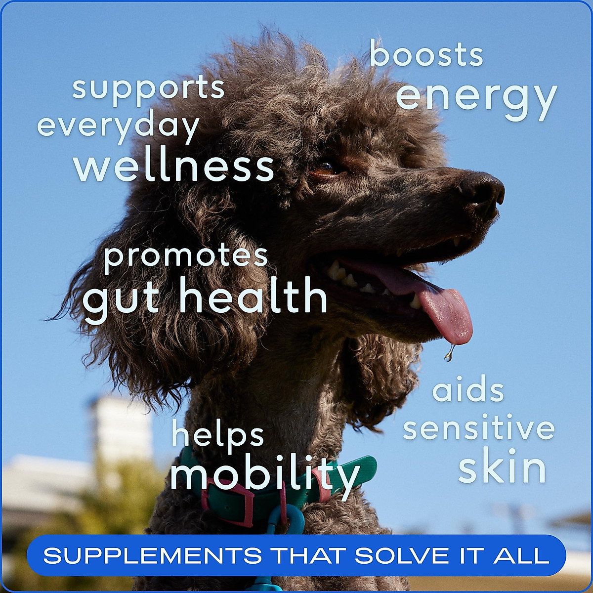 Native Pet The Daily Dog Supplement - 11 in 1 Dog Multivitamin - Tasty Scoop with Dog Supplements & Vitamins - Multi Vitamin for Dog Energy, Mobility, Skin & Coat - 12 Active Ingredients 14 oz