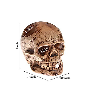 ALEGI Aquarium Decoration Hideaway Rock Cave for Betta Shrimp Cichlid Hiding Breeding Spawning (Ceramic Skull)