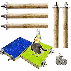Hamiledyi Bird Perches Natural Wood Parrot Stand Platform Set 7 Pack Wooden Parakeet Paw Grinding Stick Cage Accessories Exercise Toys for Cockatiels Conure Budgies Lovebird Rat Gerbil Hamster Play
