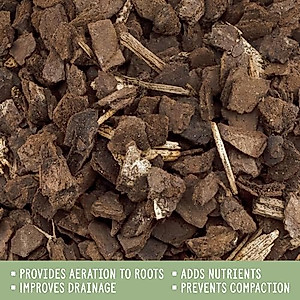 100% Organic Orchid Potting Bark (4 Quarts), All-Natural USA-Sourced Pine Bark Orchid Mix Additive