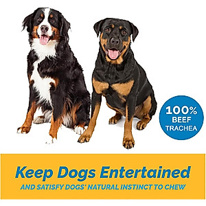123 Treats Premium Beef Trachea for Dogs – 12 Inch 100% Natural Beef Dog Chews, Rich in Glucosamine and Chondroitin for Joint & Hip Mobility (10 Count)