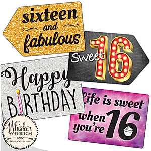 Vibrant Plastic Photo Booth Prop Signs - Sweet Sixteen Mix - Set of 2 Colorful Signs for a Sweet 16th Birthday Party