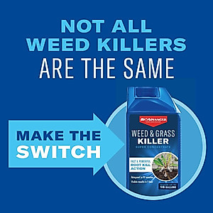 BioAdvanced Weed & Grass Killer, 32-Ounce, Super Concentrate