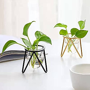 Plant Terrarium with Metal Stand, Desktop Air Planter Bulb Glass Vase for Indoor Live Hydroponics Plants Home Garden Office Decoration