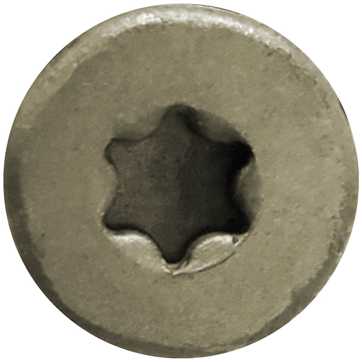 Jake Sales #15x10" Extra Long Bronze Star Wood Screw Torx/Star Drive Head - Multipurpose Torx/Star Drive Wood Screws - (1 Pound ~12 Screws)