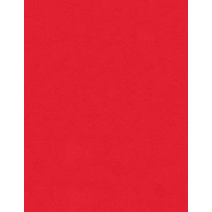 Bundle - 2 Cardstock Items - Red - 8.5 x 11 inch - 65Lb Cover; Orange - 8.5 x 11 inch - 65Lb Cover - 100 Sheets Total - Clear Path Paper