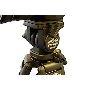 Davis & Sanford PROVISTA6510 Provista65 Tripod with V10 Head for Cameras,Black